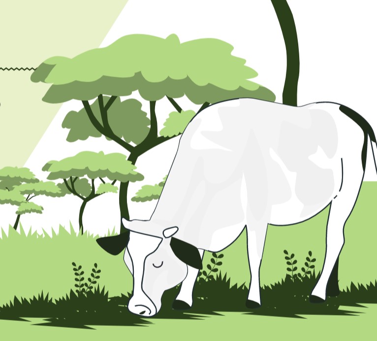 Infográfico Boas Práticas - GTFI - GTFI