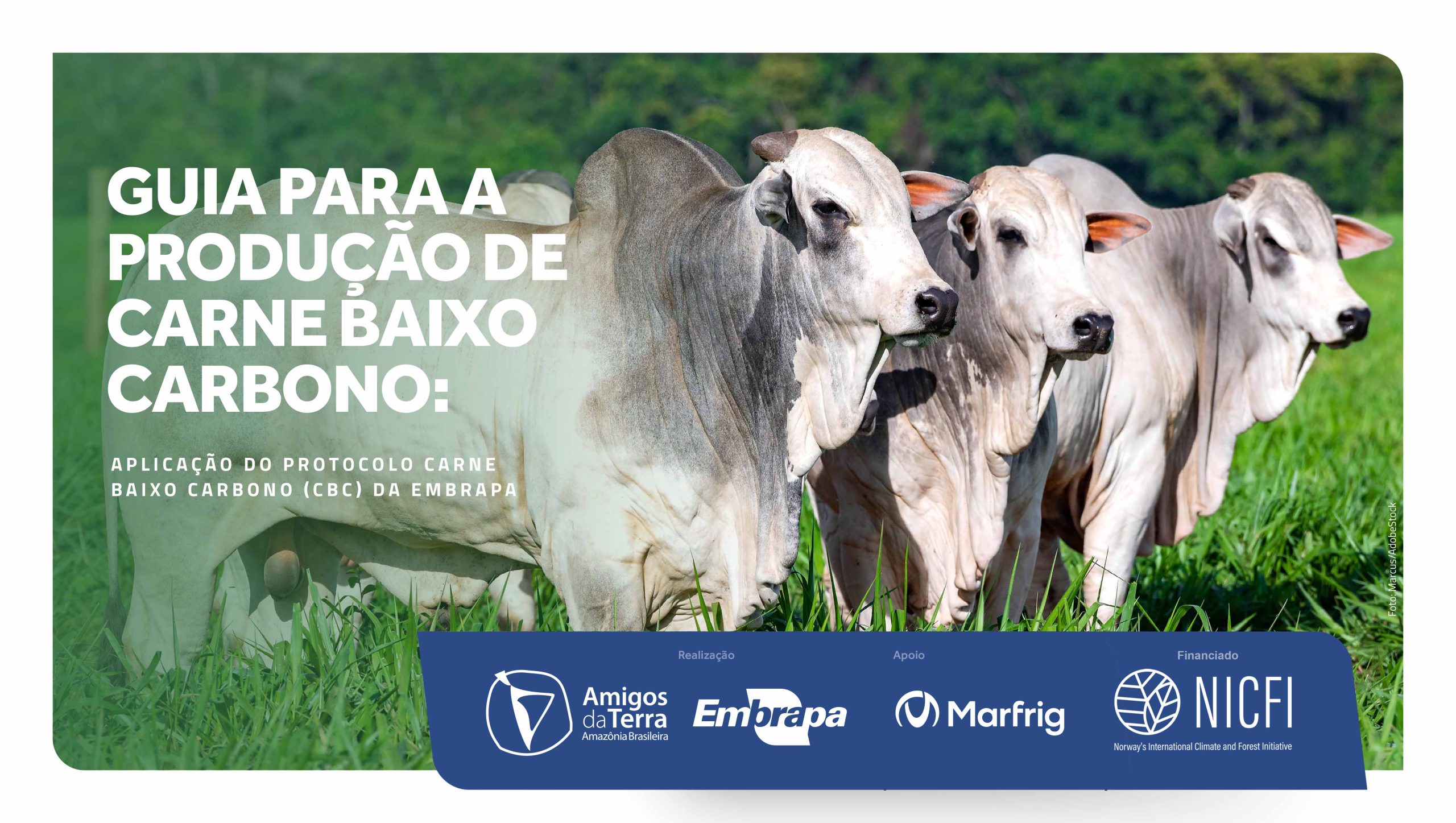 Práticas para reduzir emissões de carbono podem ampliar a ...